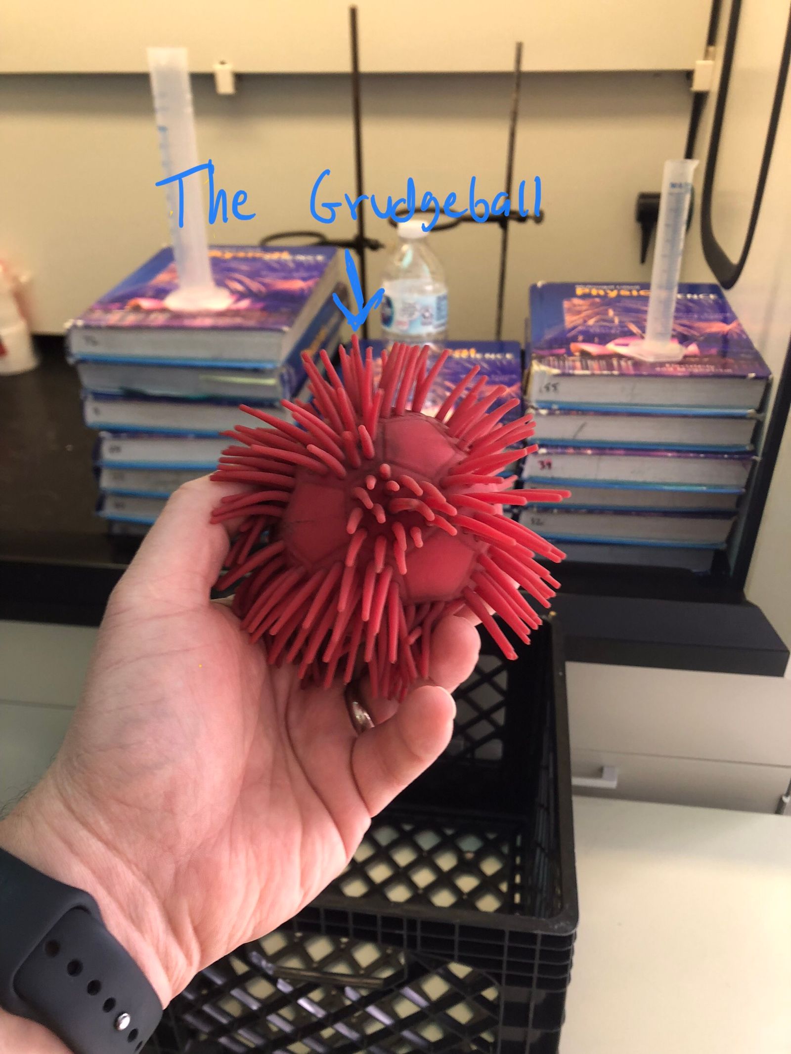 Grudge Ball Test Review Classroom Game